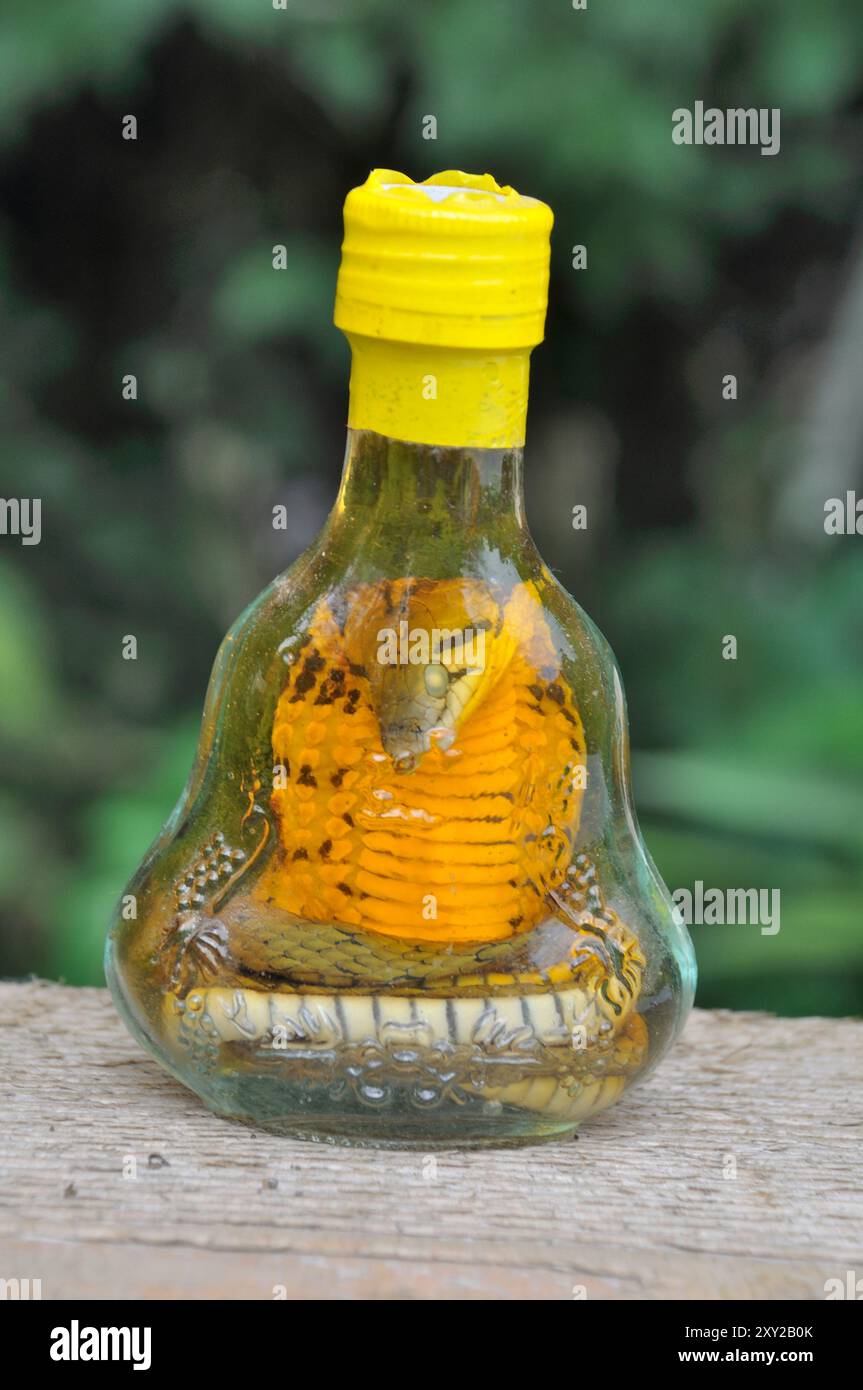 Snake in a bottle hi-res stock photography and images - Alamy