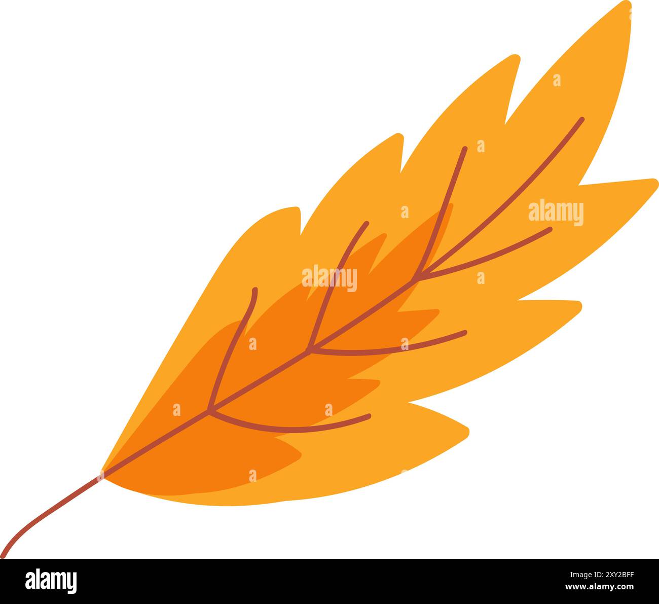 Dry herbarium poplar leaf. Fall of autumn leaves and preparing for ...