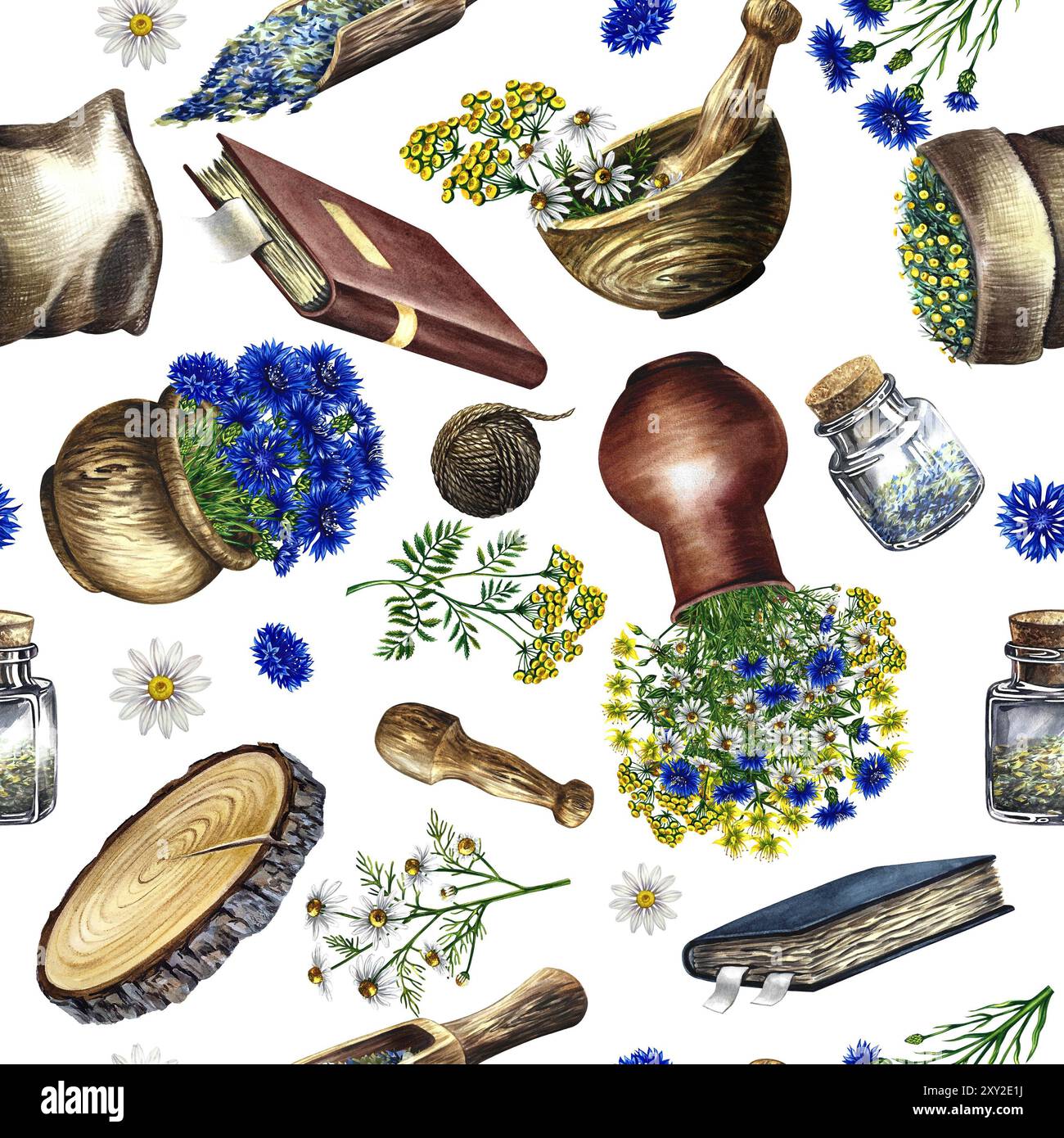 Seamless pattern of medicinal herbs: chamomile, tansy, cornflower ...