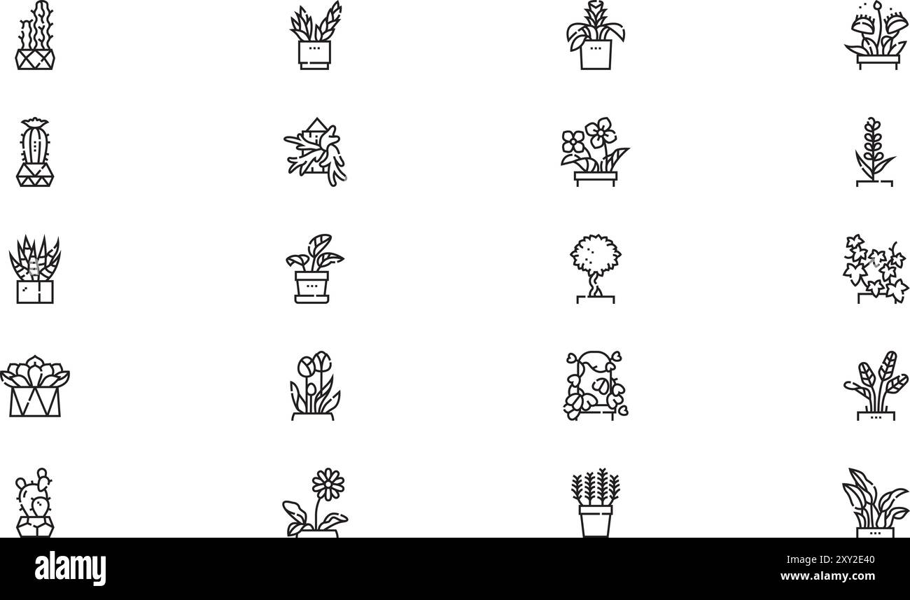 Aglaonema vector vectors hi-res stock photography and images - Alamy