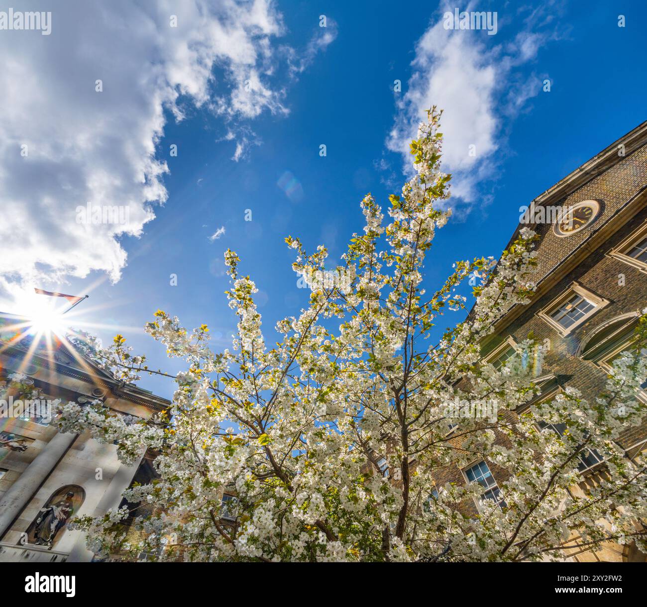 Rays of the sun rising behind a church beautifully illuminating a ...
