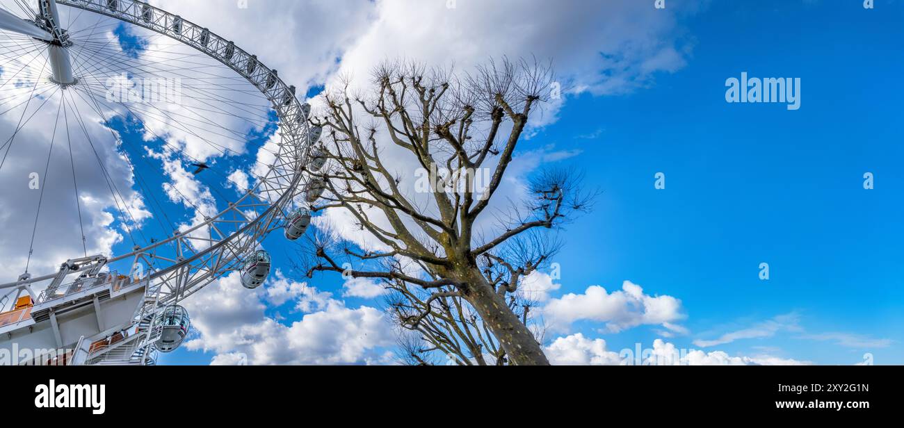 Panoramic image from below of leafless trees and a Ferris wheel from ...