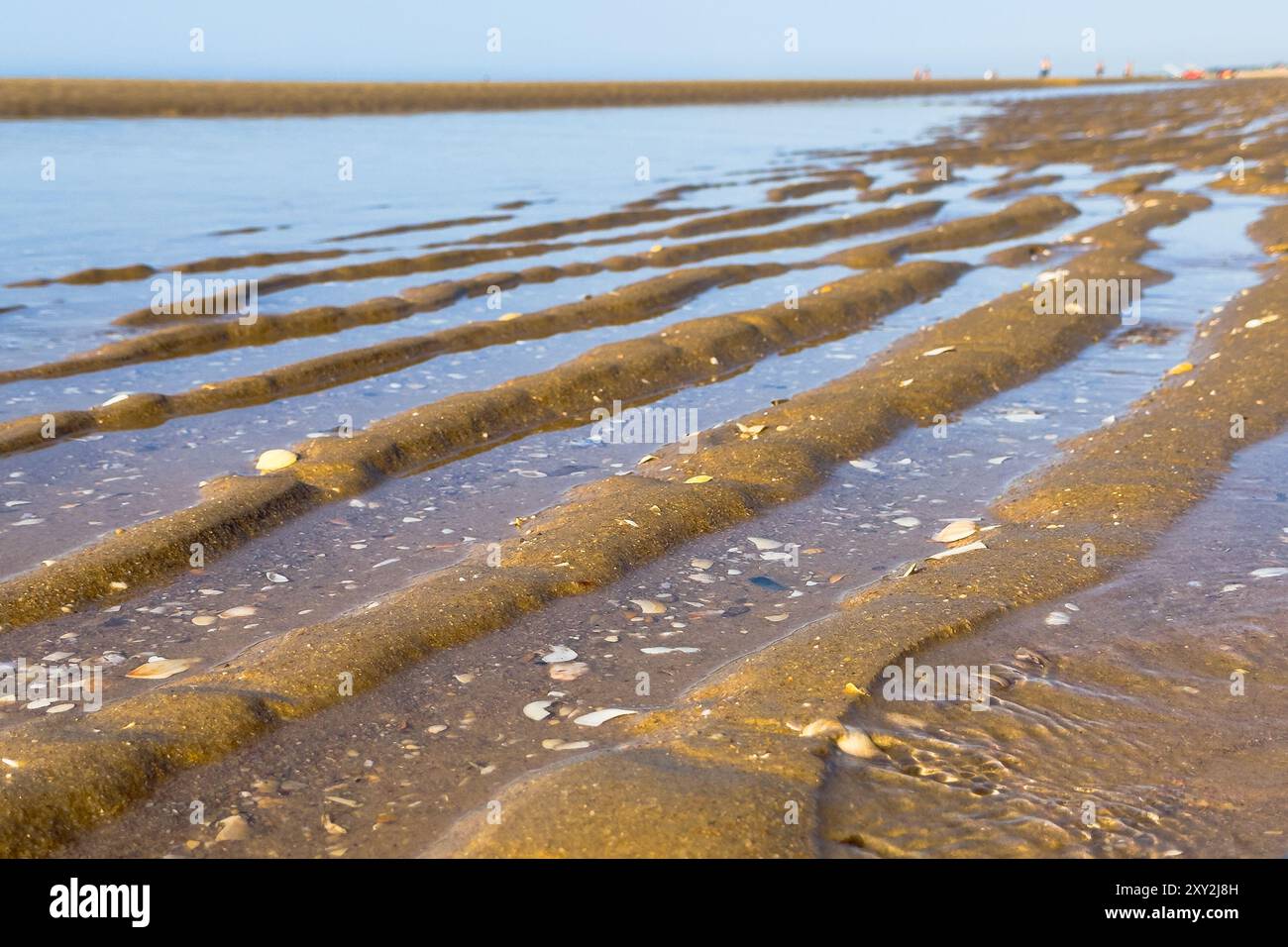 Tidal grooves forming textured ridges on a sandy beach with a calm ...