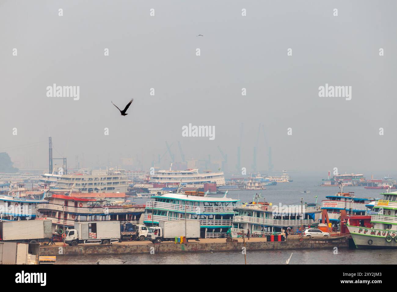 Brazil forest fires 2024 hi-res stock photography and images - Alamy
