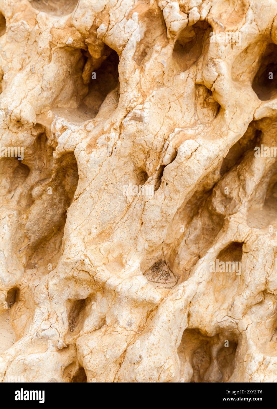 Pale magmatic rock with porous texture, top view Stock Photo - Alamy