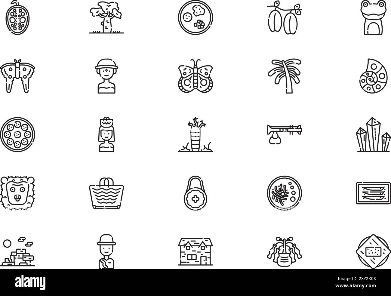 Madagascar icons collection is a vector illustration with editable ...