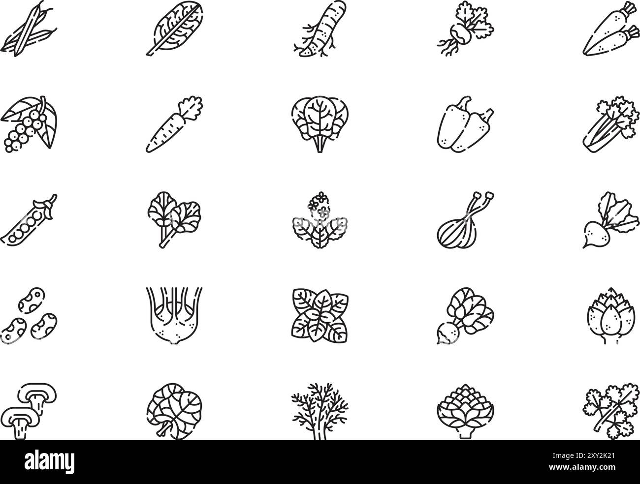 Daikon illustration Stock Vector Images - Alamy