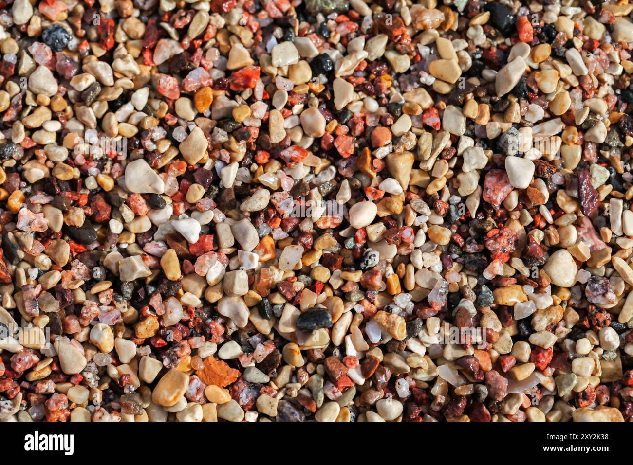Wet colorful pebbles on a sea shore, natural background Stock Photo - Alamy