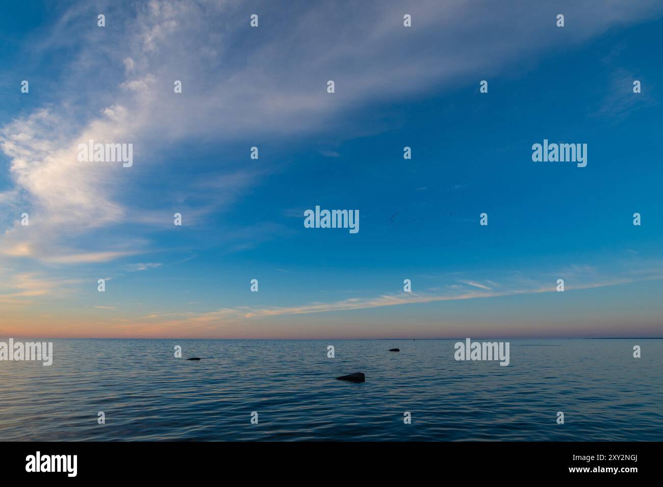 Minimalistic landscape. Calm sea during Sunset. Flying birds in the sky ...