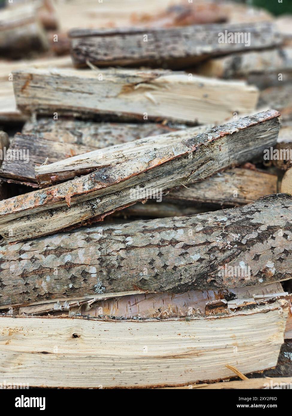 Closeup of Stacked Firewood Logs with Natural Bark Texture for Winter ...