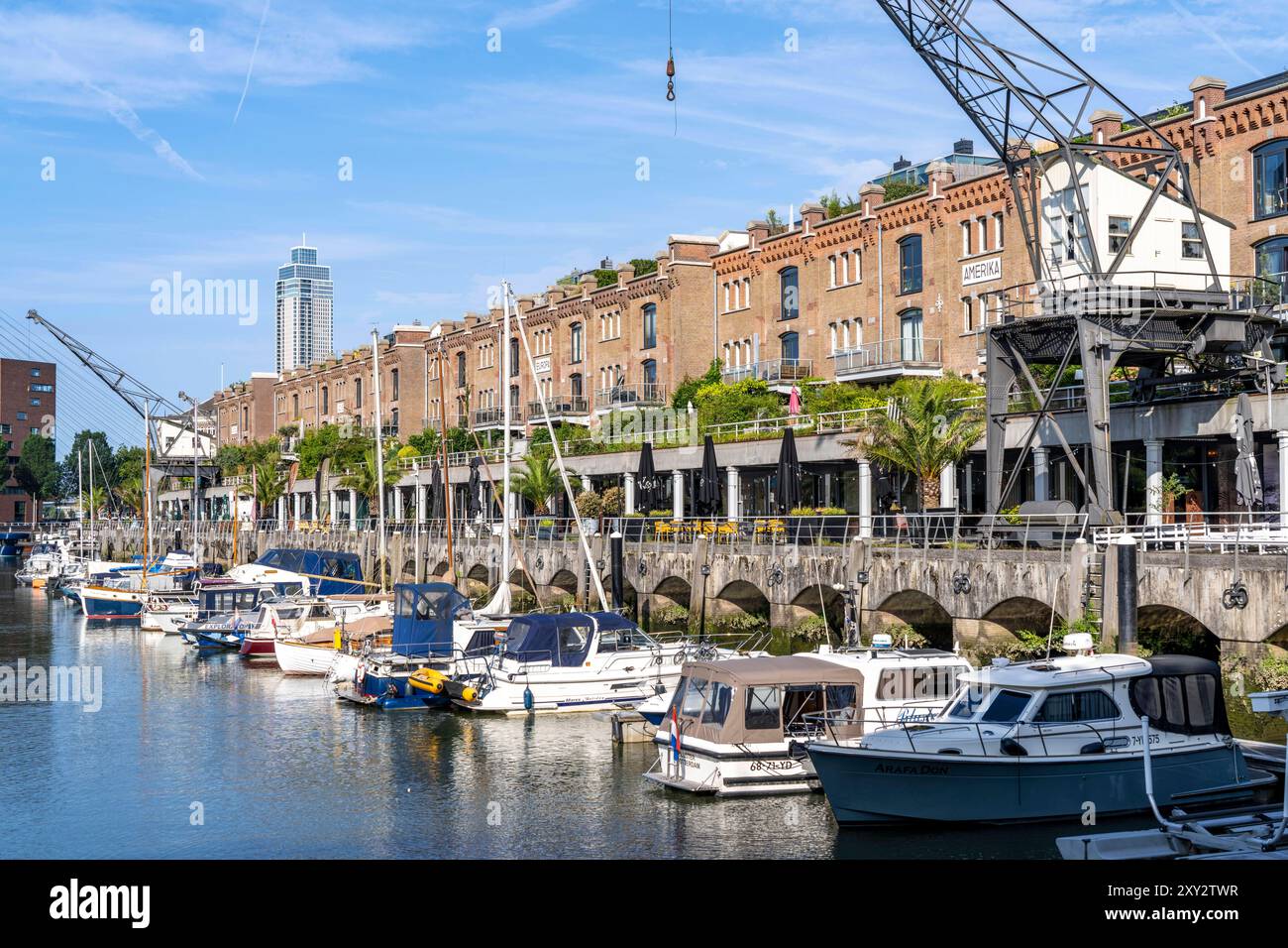 Rotterdam Marina, Gastronomie, Ausgehviertel, Sportboot Hafen ...