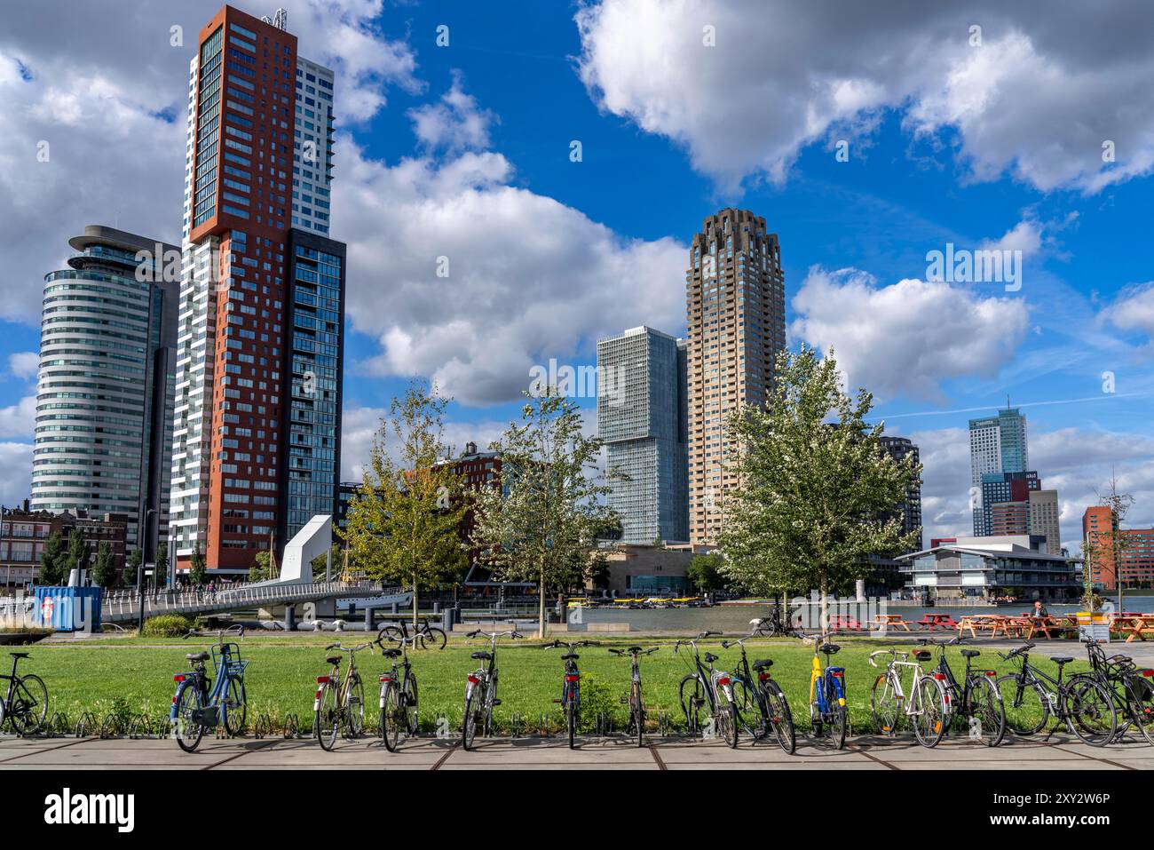 High-rise buildings at Kop van Zuid, , at Rijnhaven harbor basin ...
