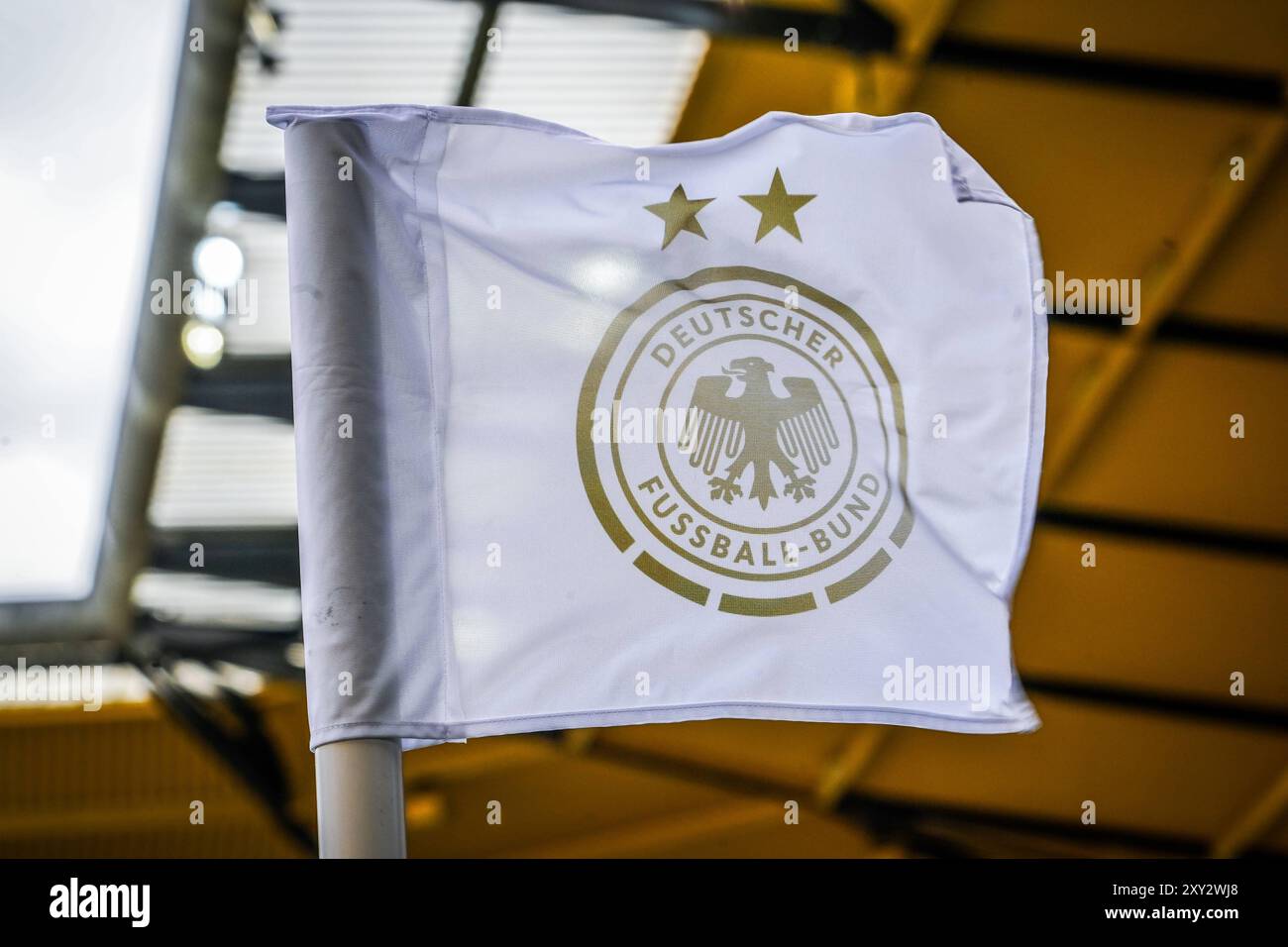 Stadium environment hi-res stock photography and images - Alamy