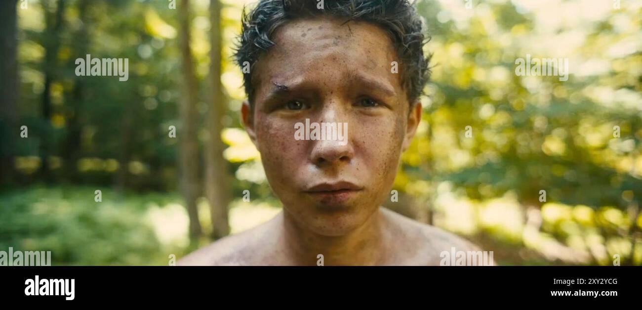 LOST ON A MOUNTAIN IN MAINE, Luke David Blumm, 2024. © Blue Fox ...