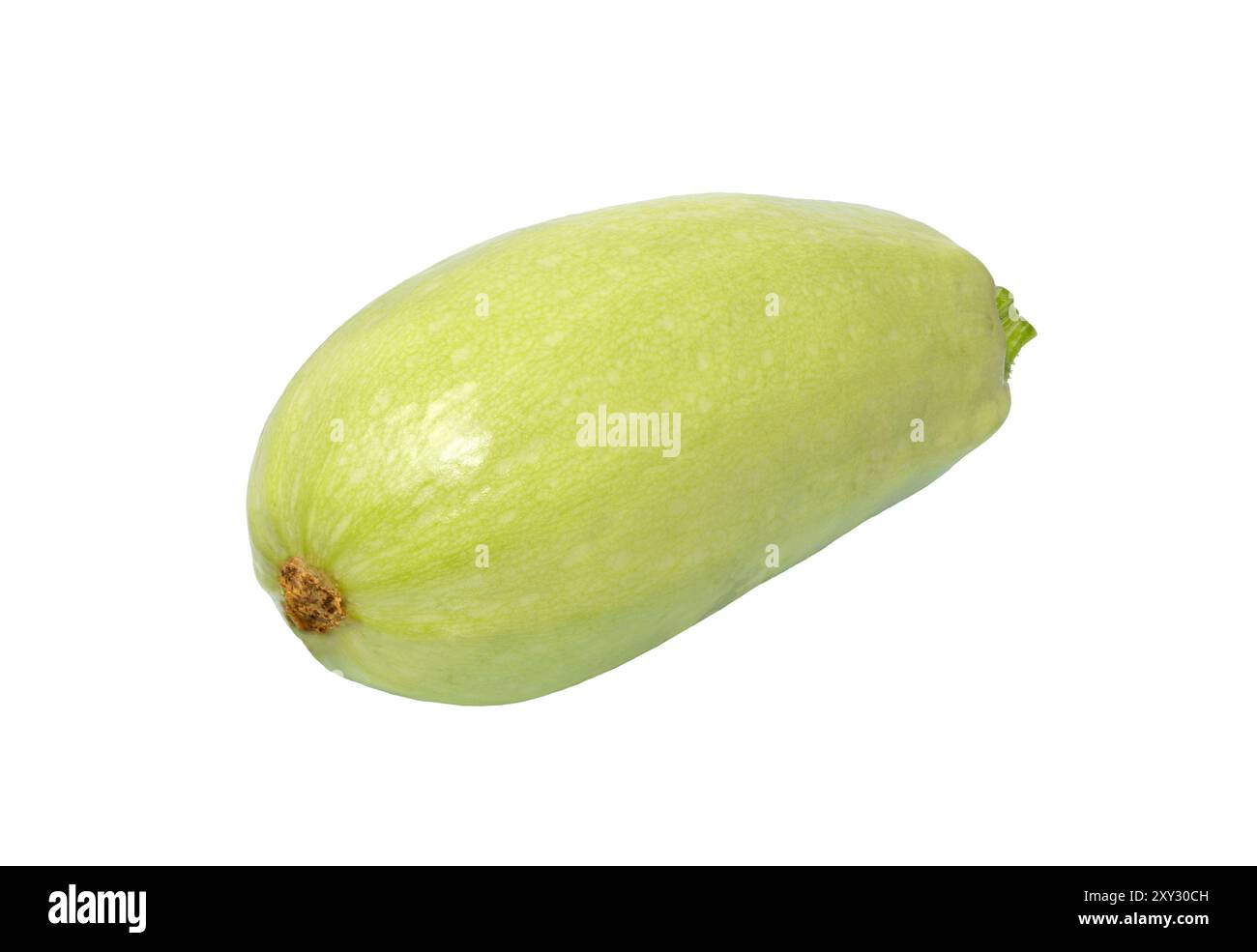 Zucchini isolated. Zucchini or courgettes , or vegetable marrow ...