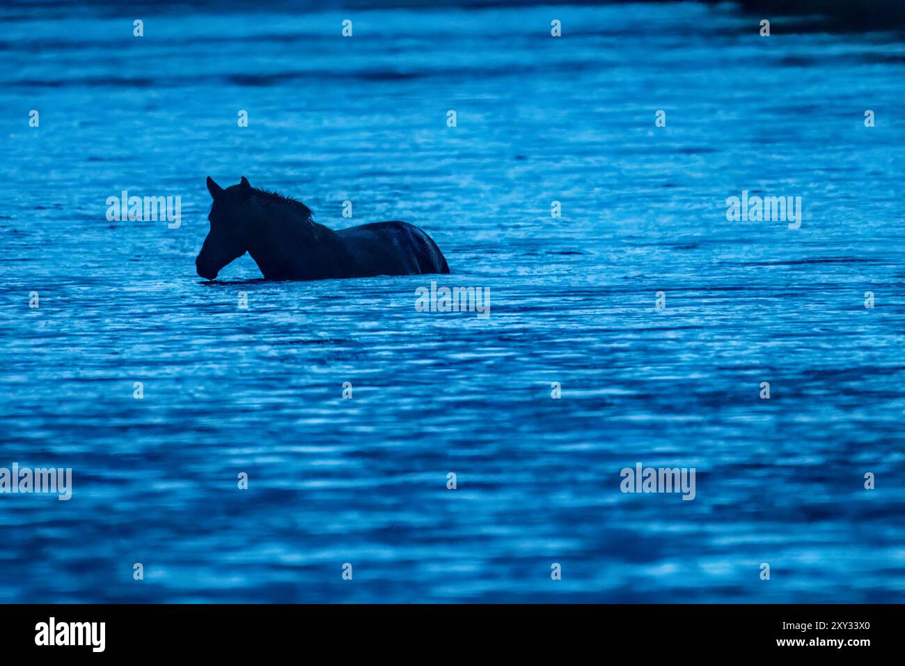 On The Move Through The River Stock Photo - Alamy