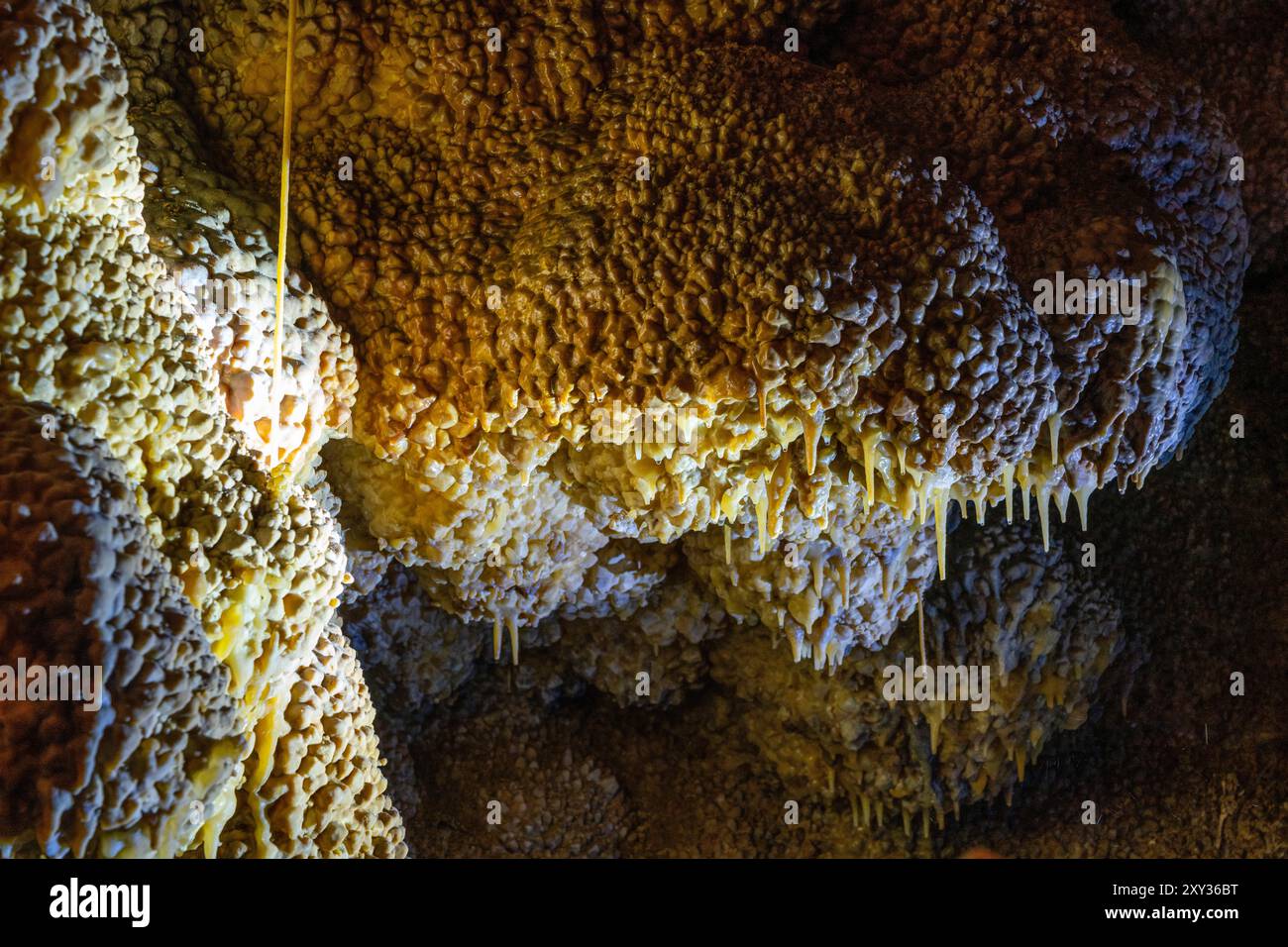 Photograph from the interior of Jewel Cave National Monument, Black ...