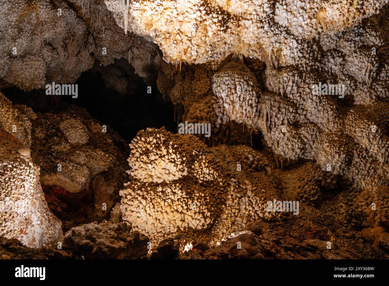 Photograph from the interior of Jewel Cave National Monument, Black ...