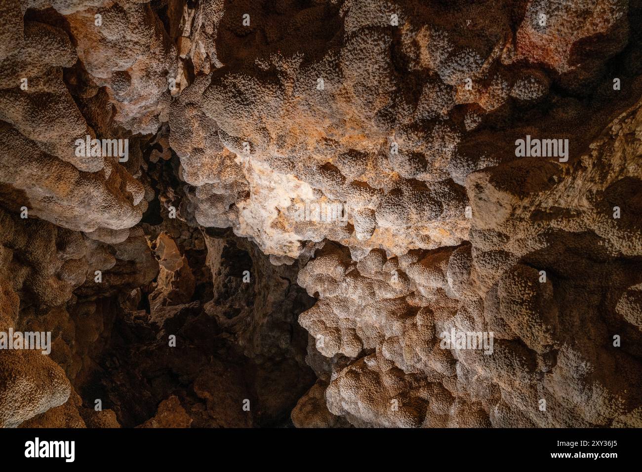 Photograph from the interior of Jewel Cave National Monument, Black ...