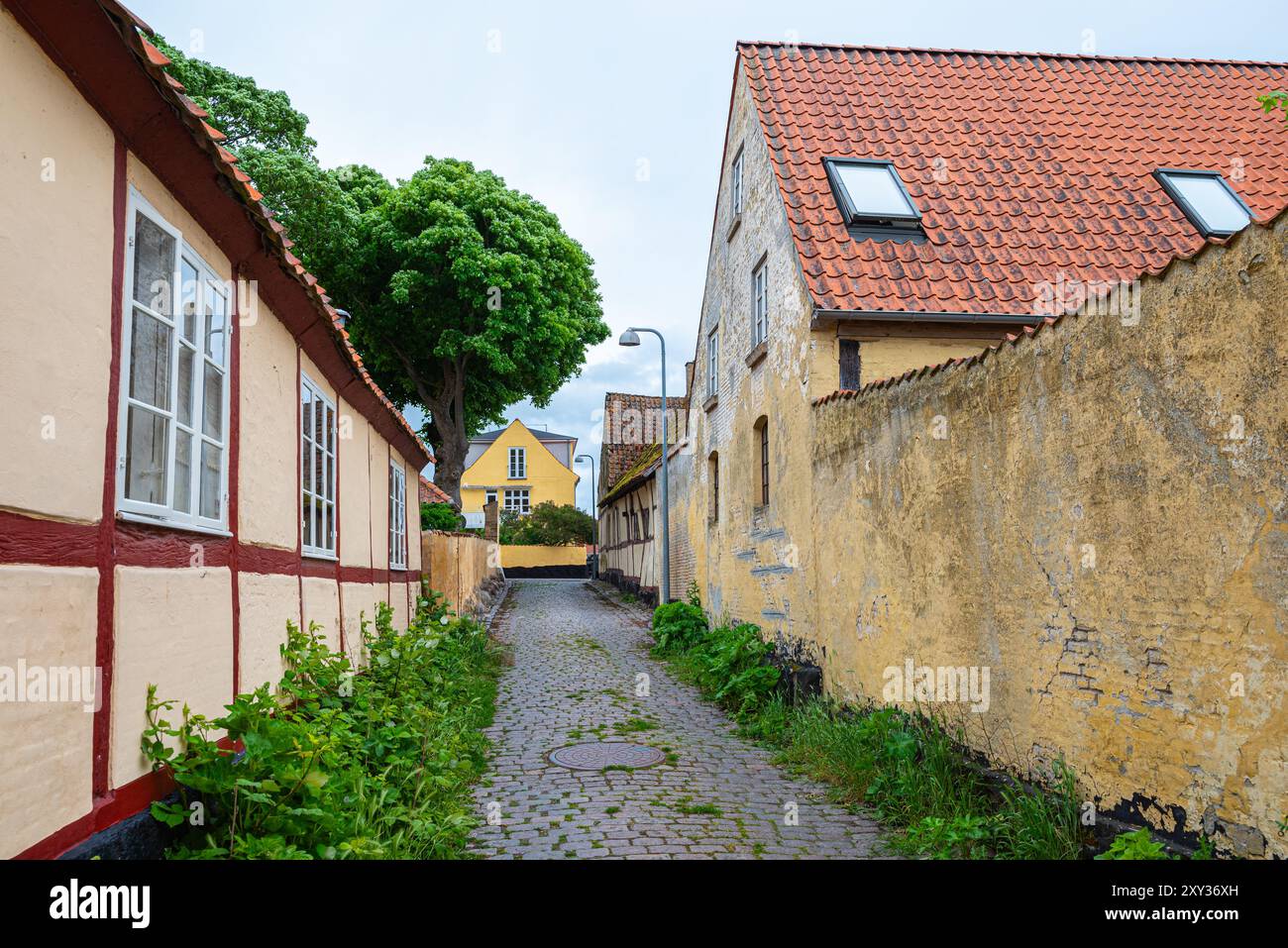 buildings near the street in town of Stege on island of Mon in denmark ...