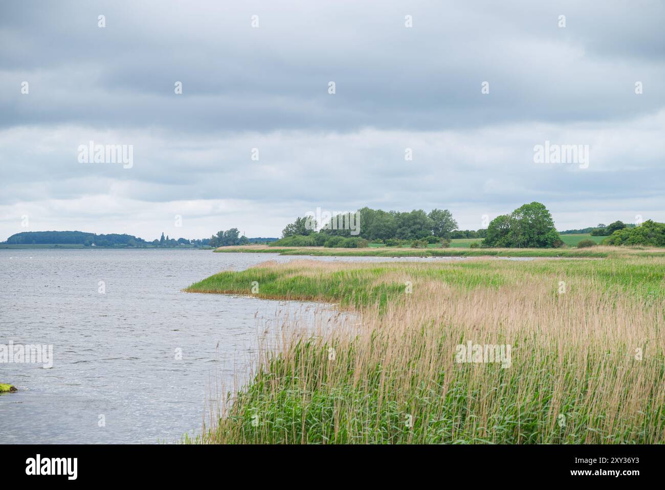 Beautiful nature of the coastline of island of Bogo in Denmark Stock ...