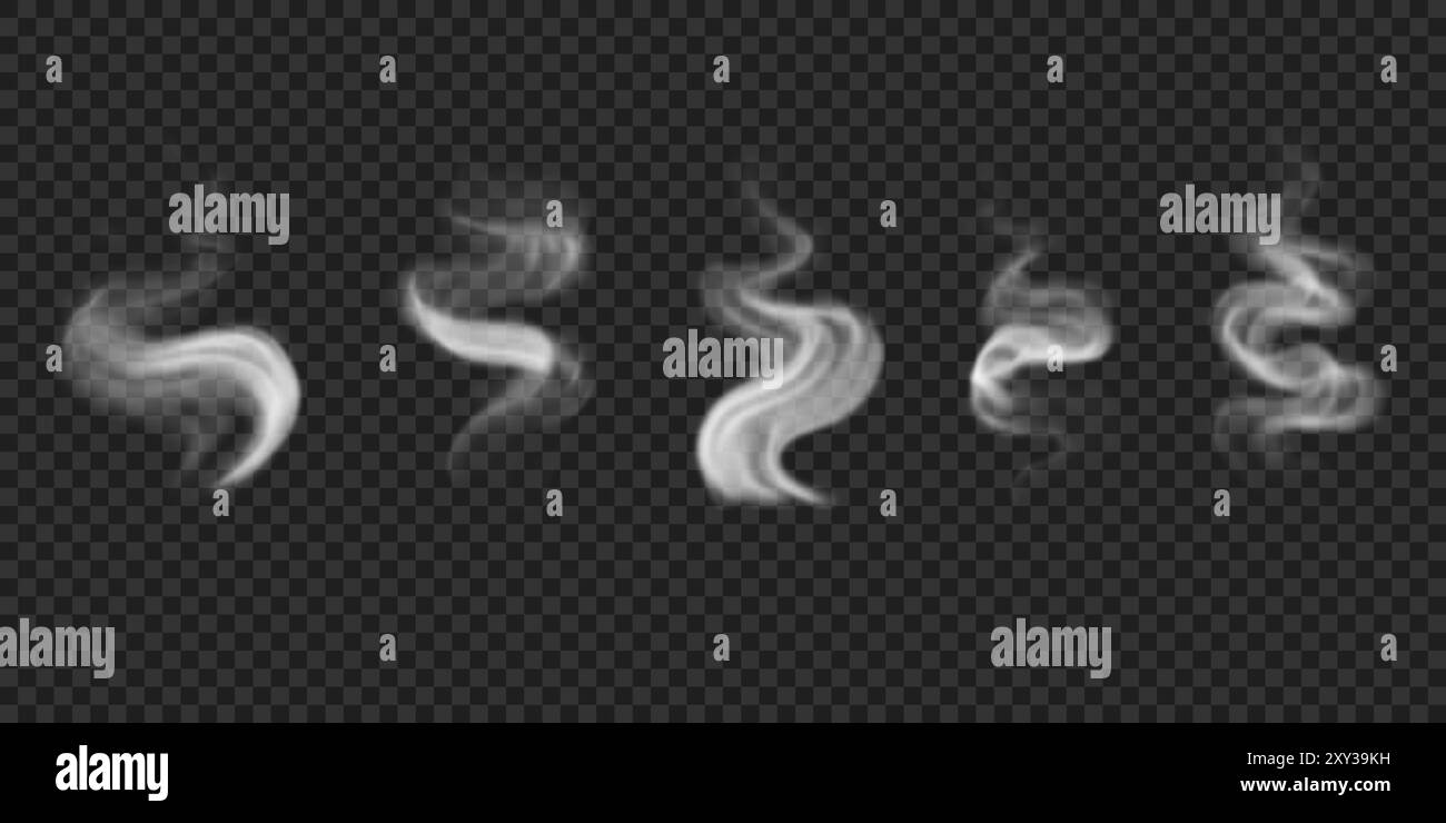 Set of realistic smoke, fog on water, bbq, hot drinks, food Stock ...