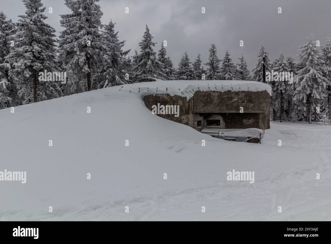 Winter view of a concrete pillbox from the WW2 in Orlicke hory ...