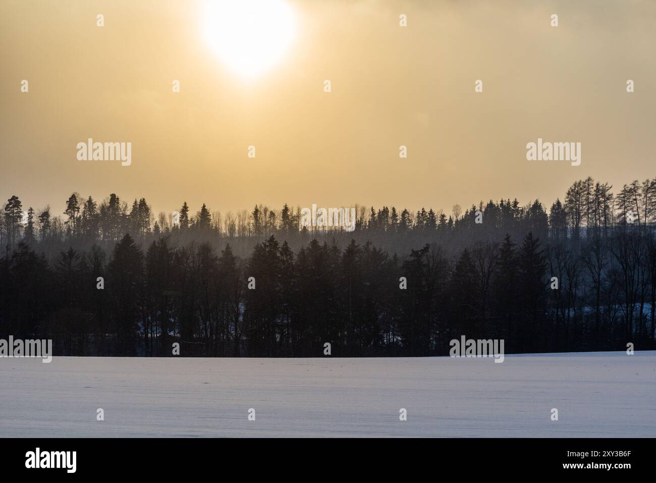Winter view of a forest landscape in the Czech Republic Stock Photo - Alamy