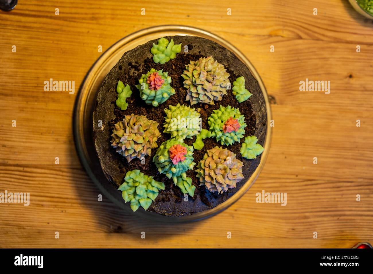 Chocolate cake decorated with shapes of cactus Stock Photo - Alamy