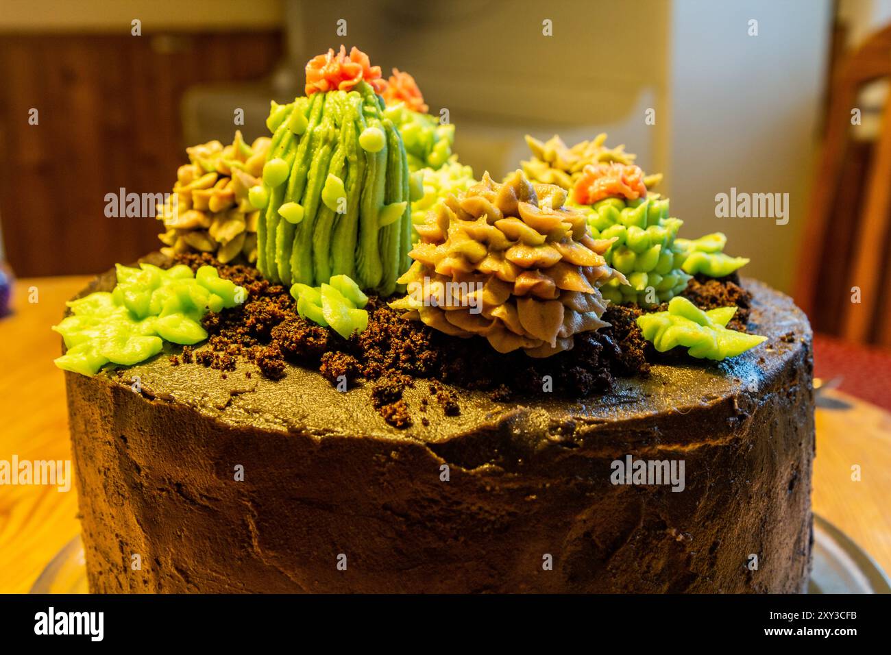 Chocolate cake decorated with shapes of cactus Stock Photo - Alamy