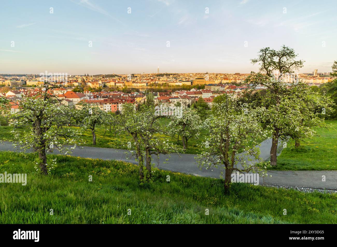 Aerial view of Prague with flowering trees, Czech Republic Stock Photo ...