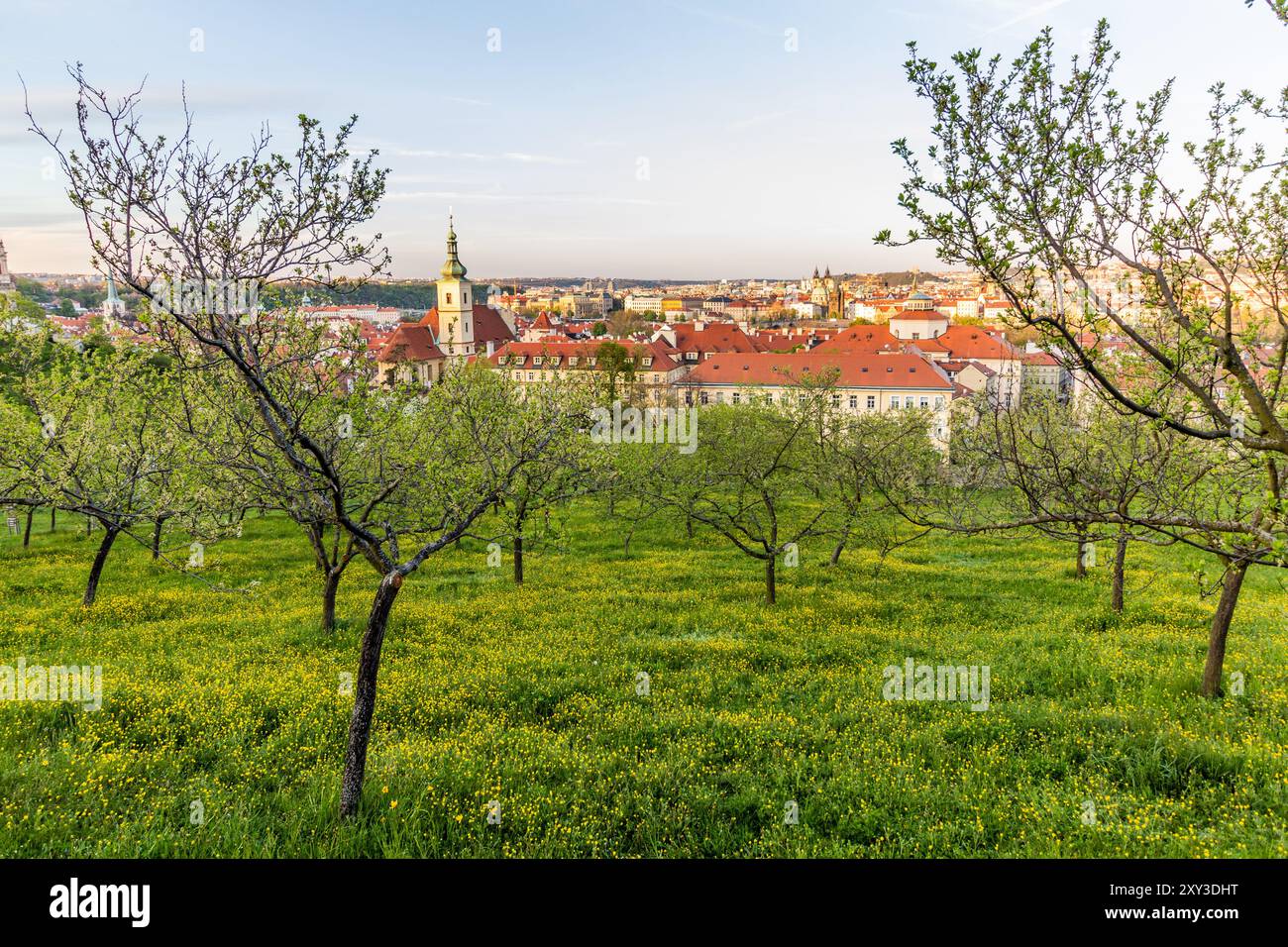 Aerial view of Prague with flowering trees, Czech Republic Stock Photo ...