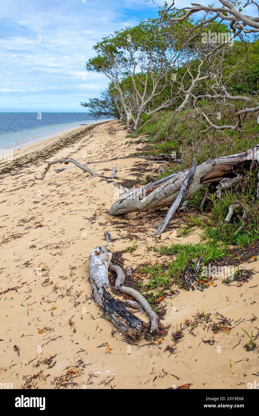 Poe Beach on the World Heritage-listed Poe Lagoon Stock Photo - Alamy