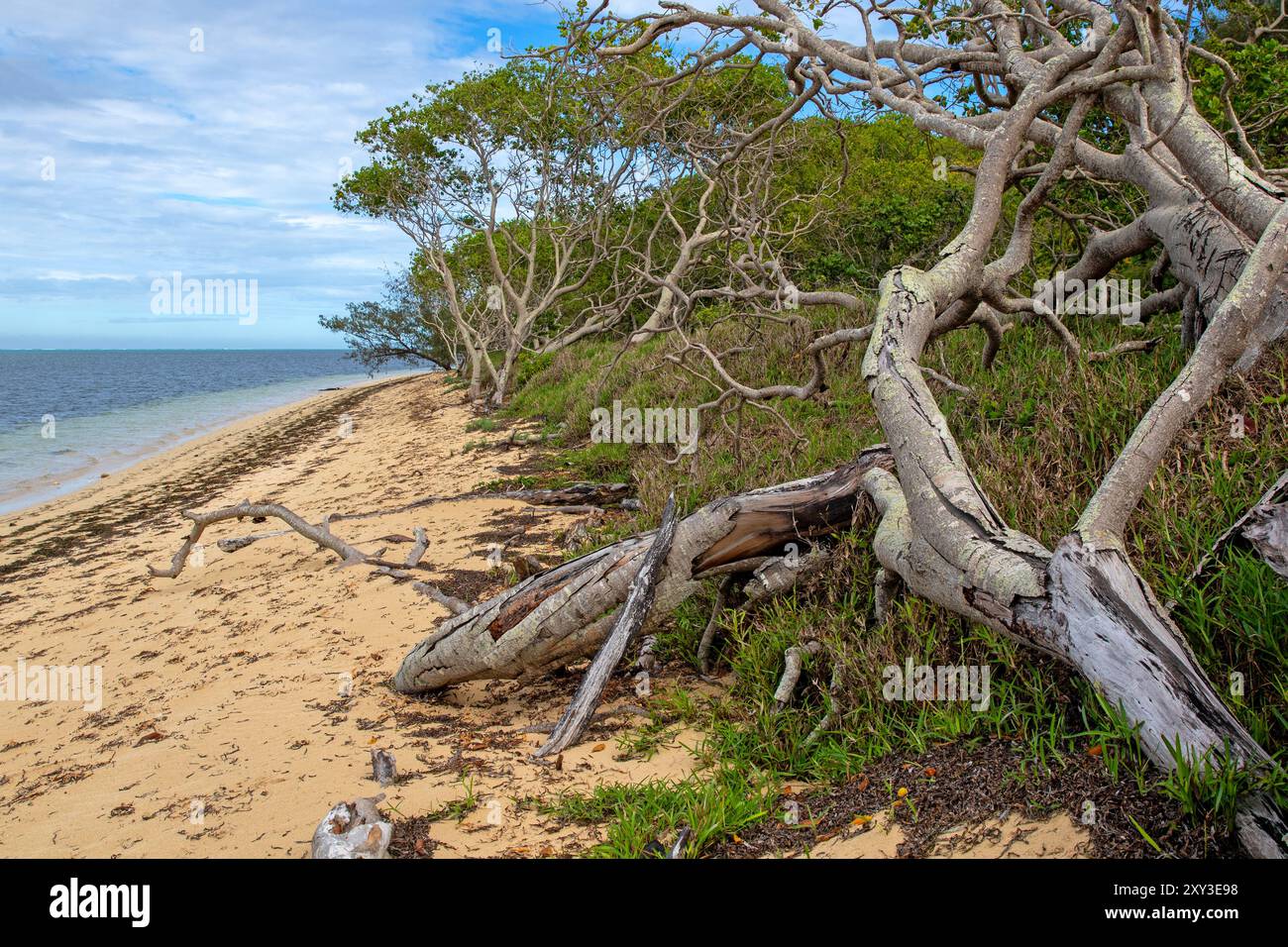 Poe Beach on the World Heritage-listed Poe Lagoon Stock Photo - Alamy