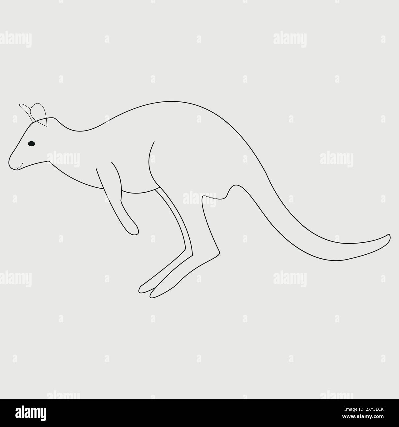 kangaroo australia animal. vector illustration, kangaroo vector, kangaroo illustration, kangaroo ...