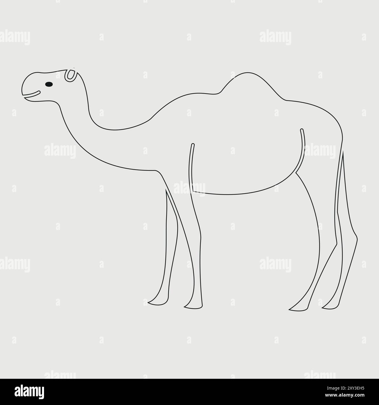 camel desert vector illustration, camel vector, camel illustration ...