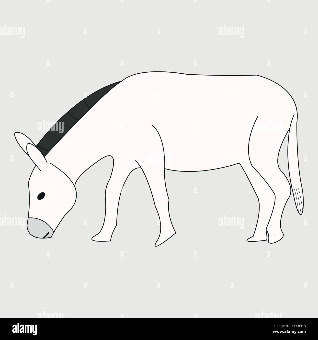 donkey vector, donkey illustration, donkey animal, vector illustration ...