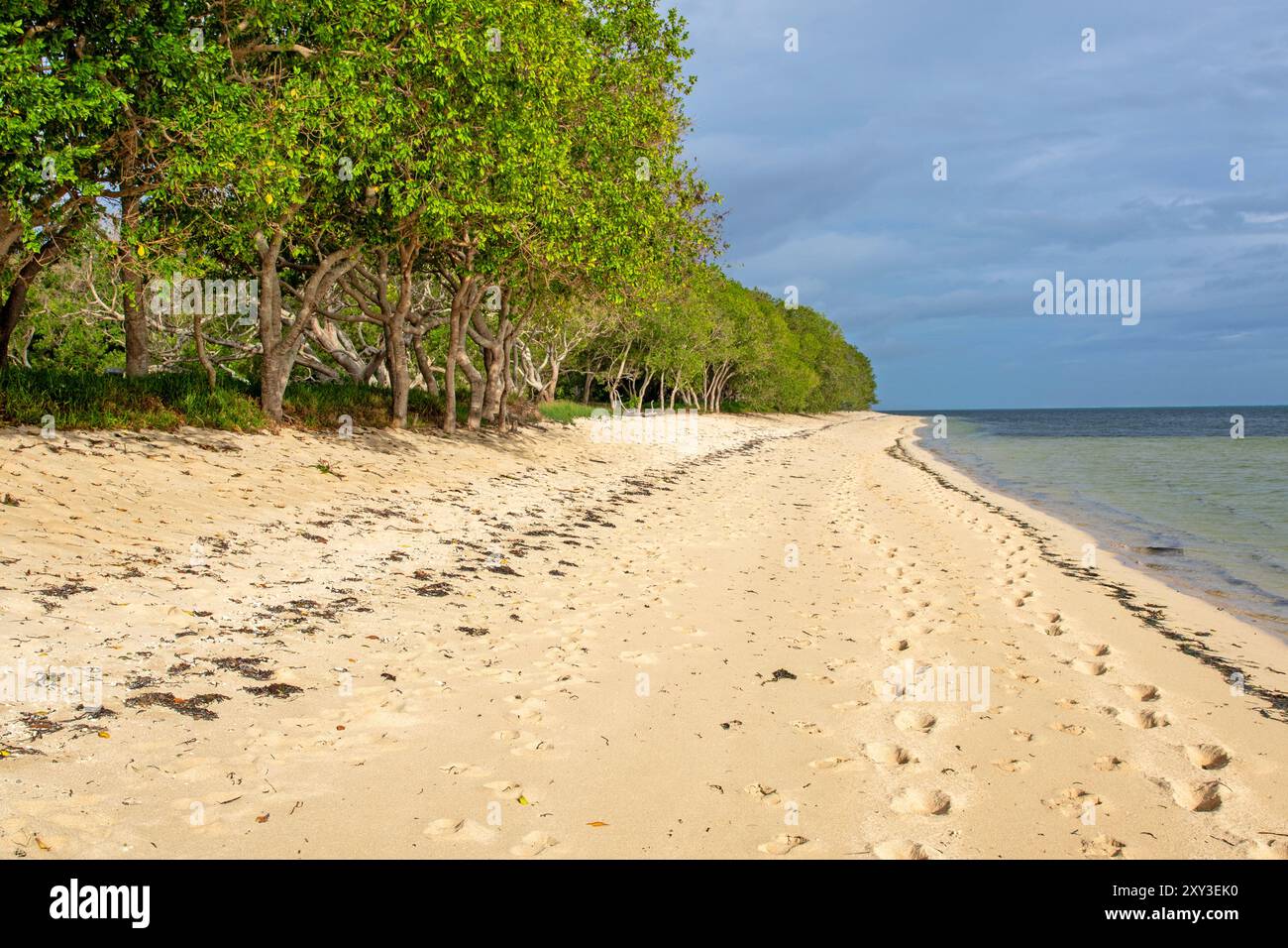 Poe Beach on the World Heritage-listed Poe Lagoon Stock Photo - Alamy