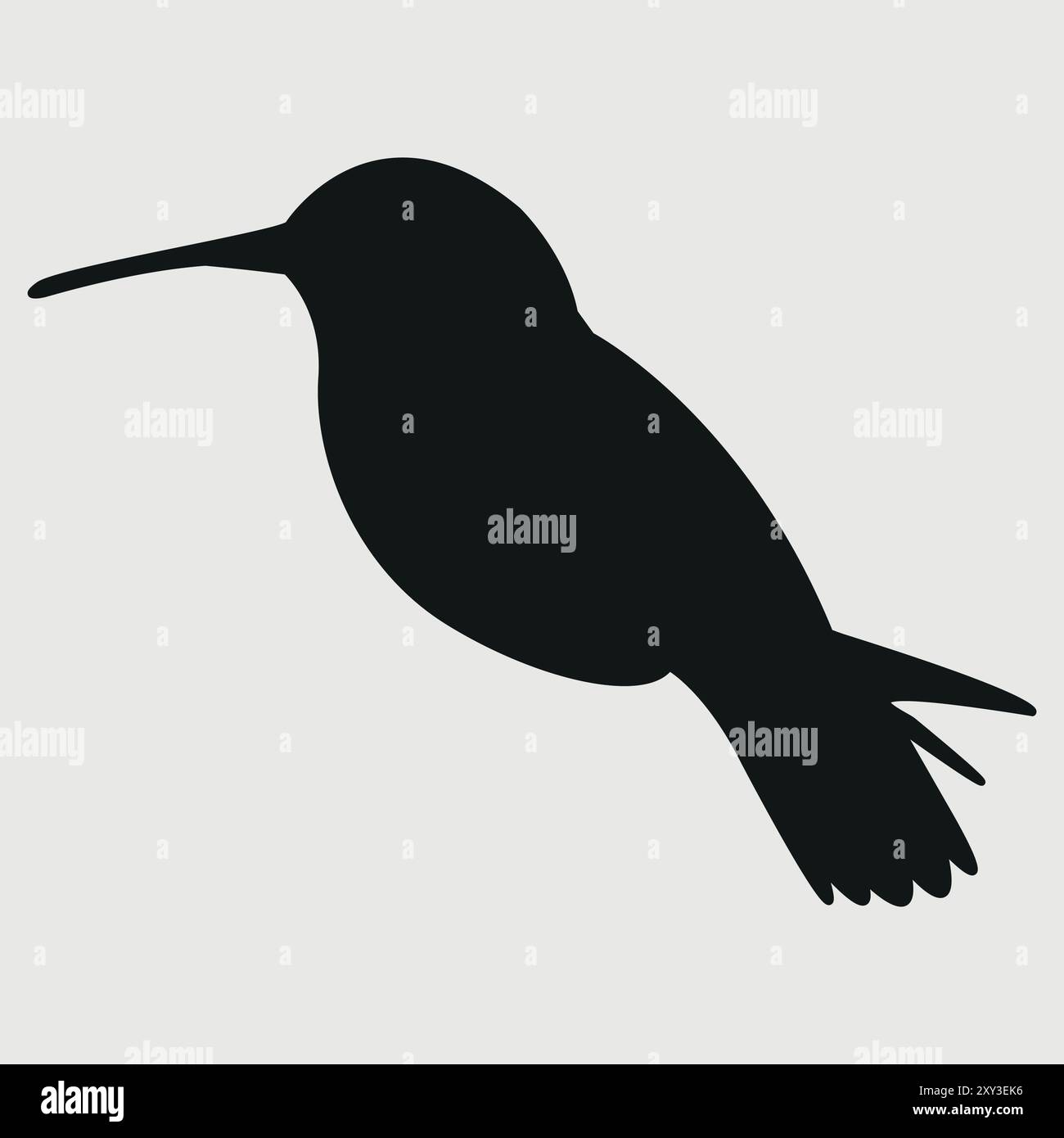 hummingbird animal vector illustration, hummingbird vector, hummingbird ...