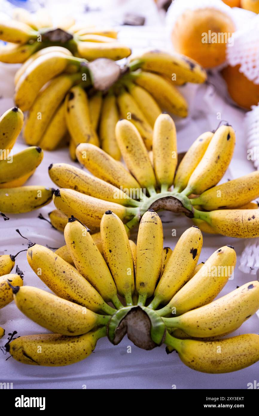 Lady finger banana for sale at Central Market (Phsar Thmei), Cambodia ...