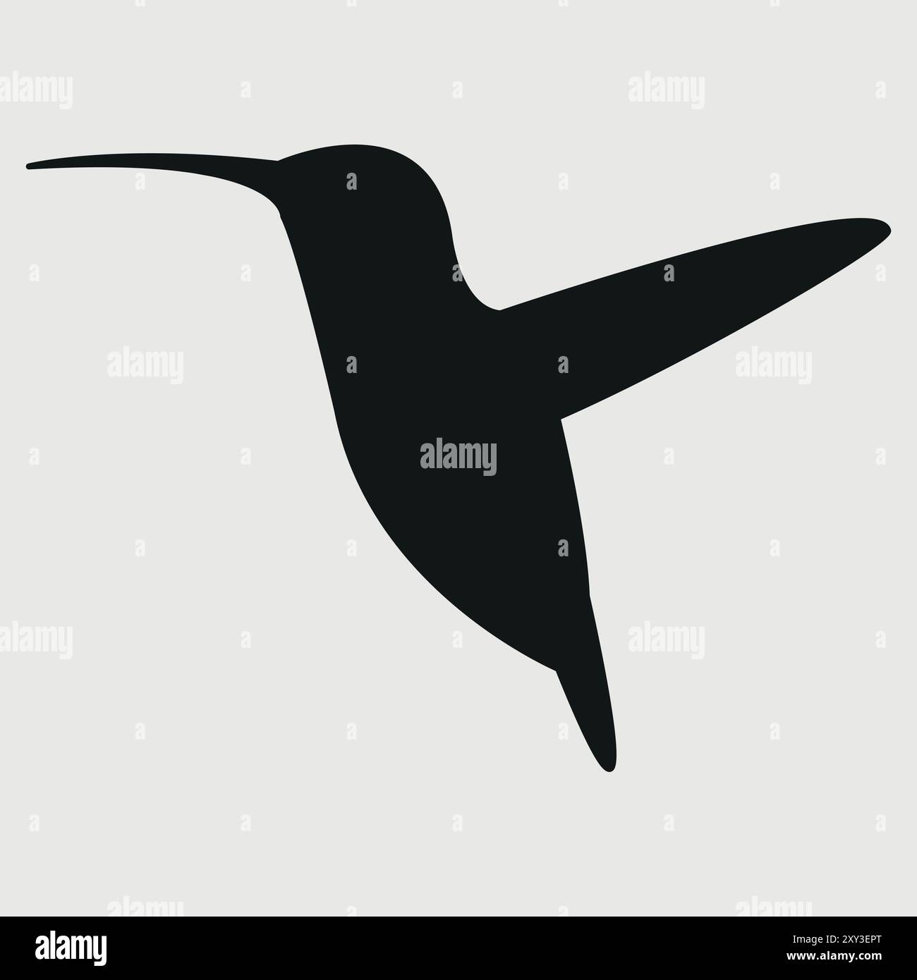 hummingbird animal vector illustration, hummingbird vector, hummingbird ...