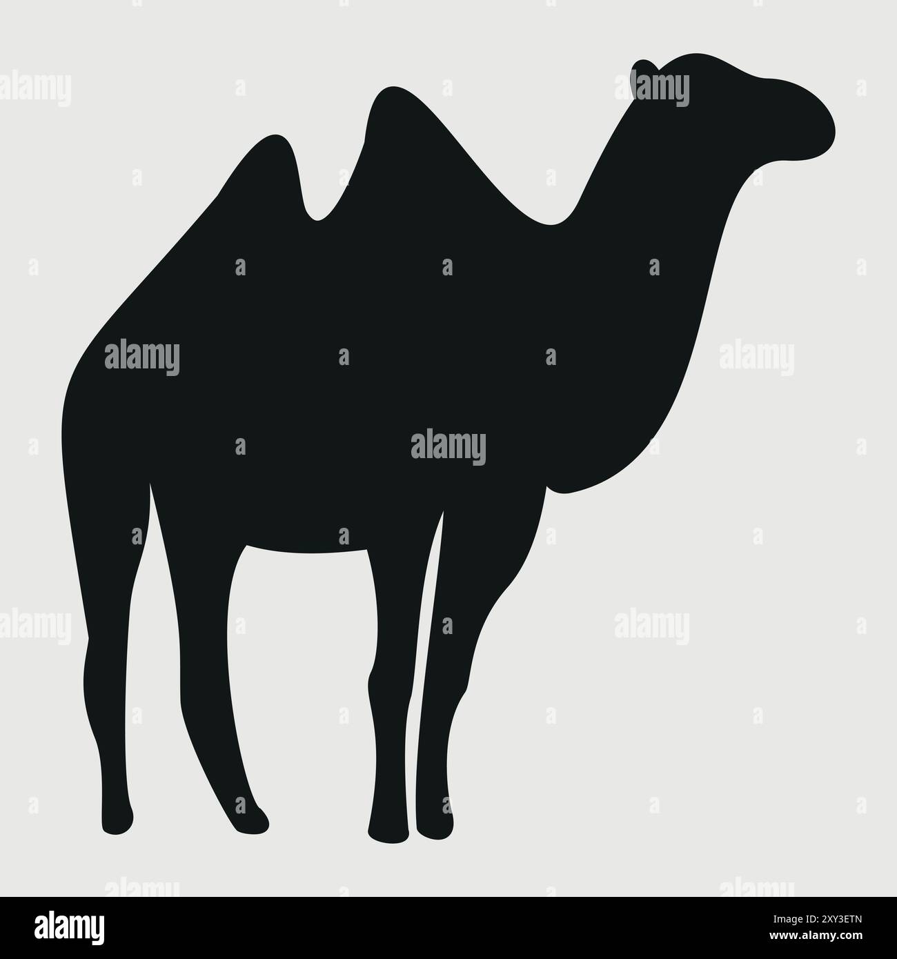 camel desert vector illustration, camel vector, camel illustration ...