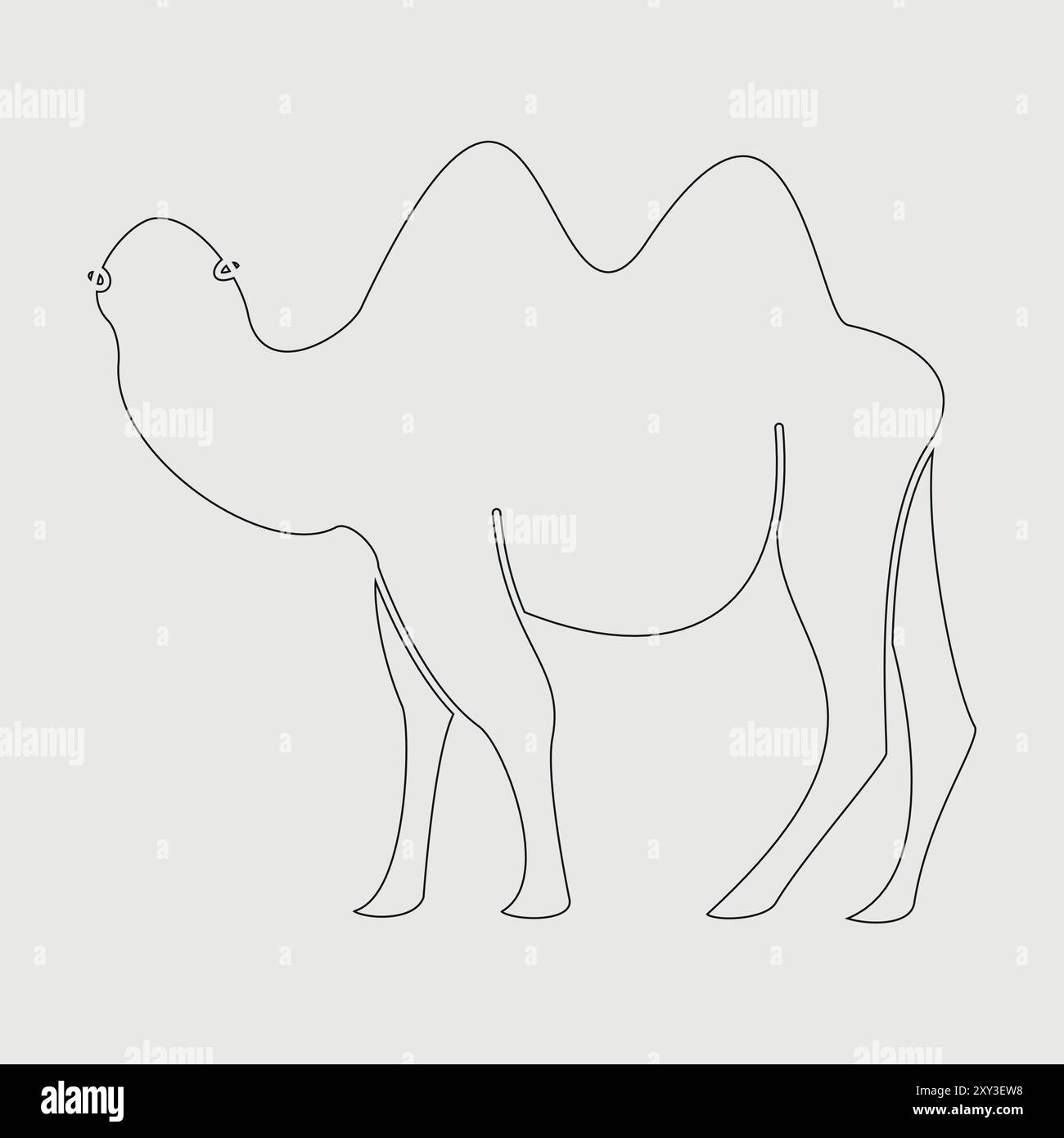 camel desert vector illustration, camel vector, camel illustration ...