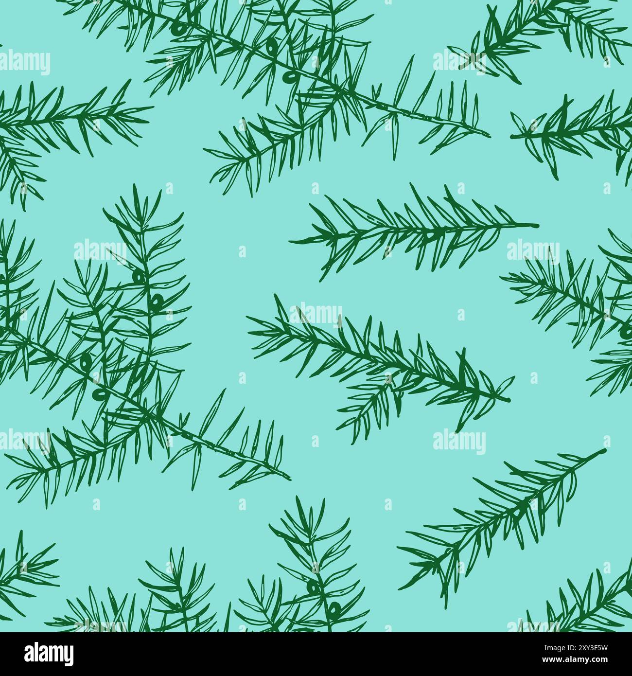 Seamless pattern with juniper branches. Monochrome vector illustration ...