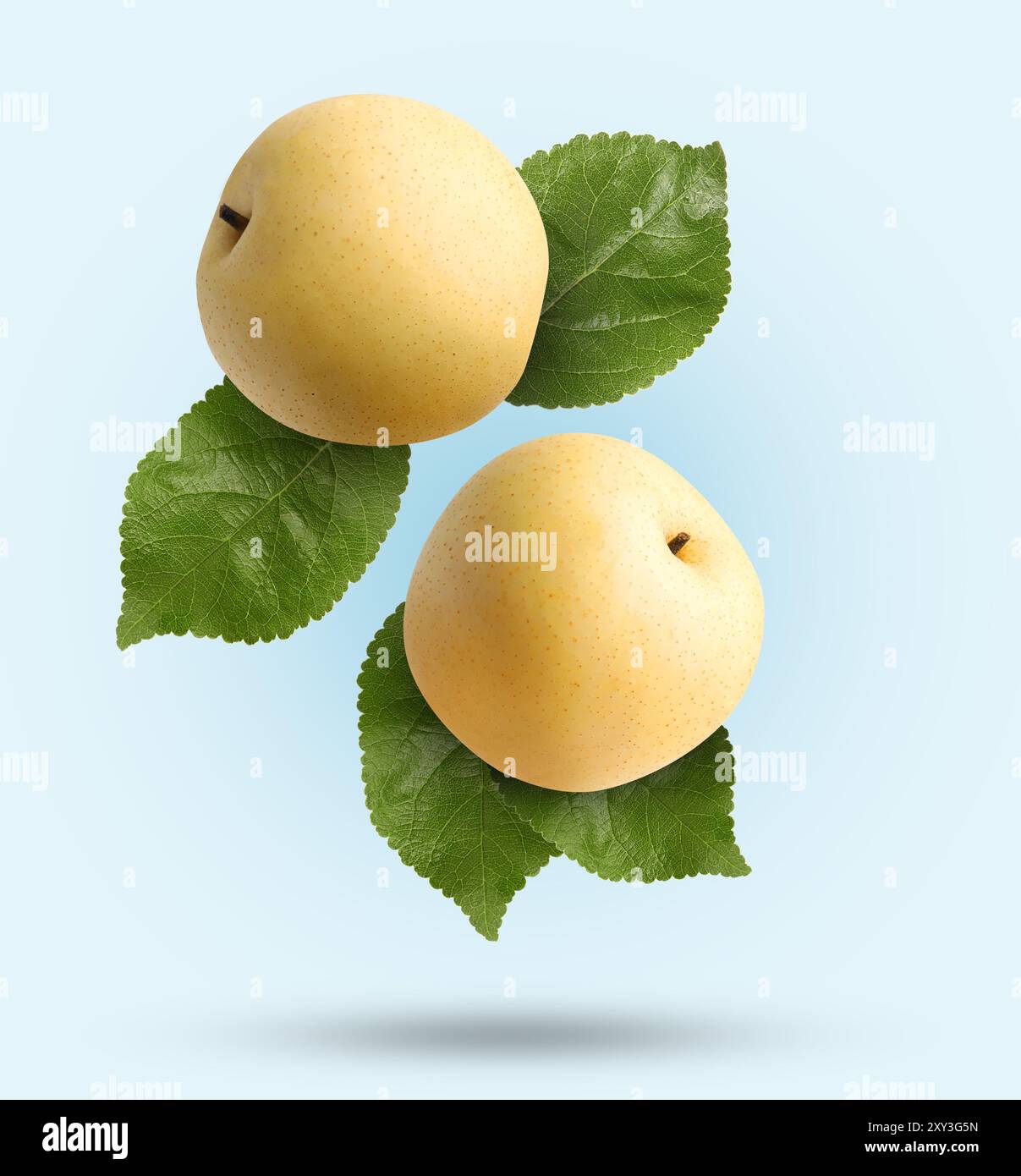 Fresh apple pears and green leaves falling on light blue gradient ...