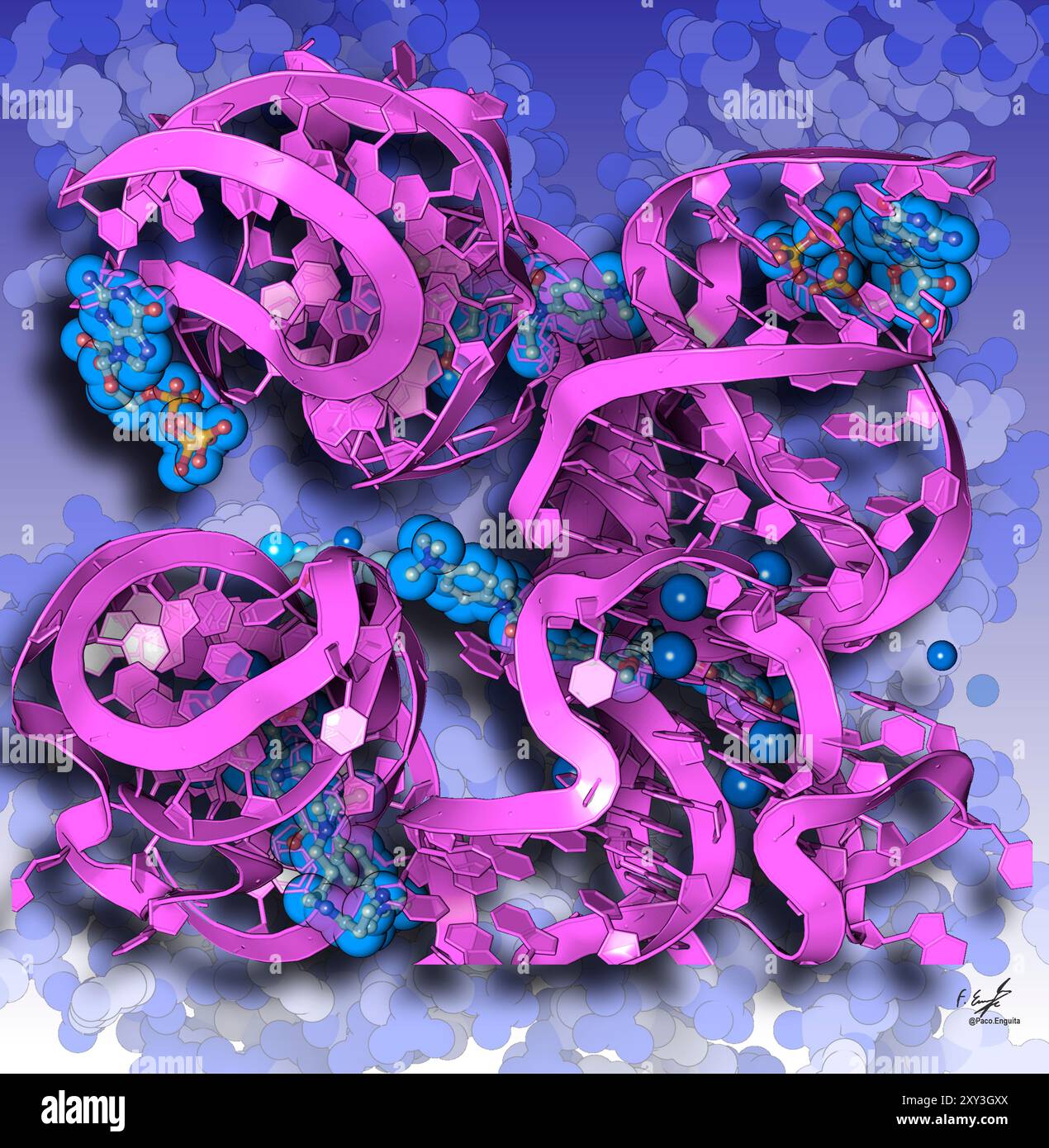 Illustration of the chili RNA (ribonucleic acid) aptamer in complex ...