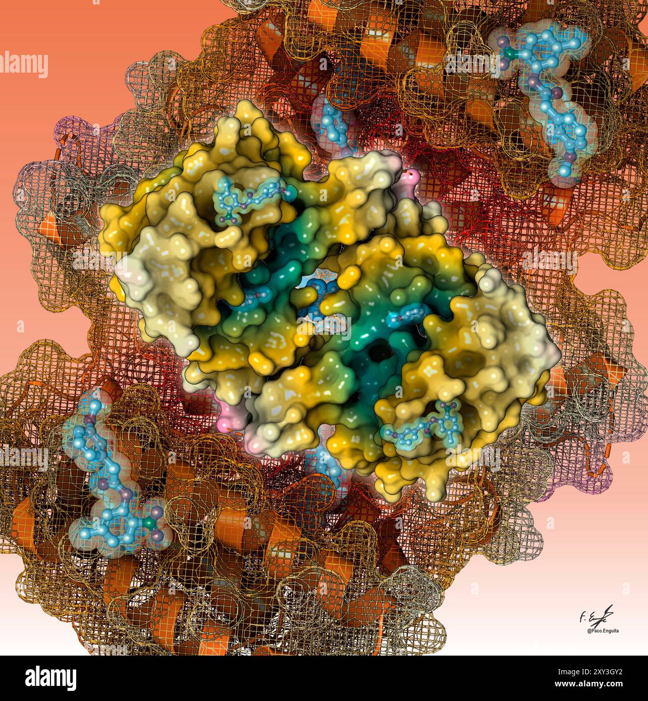 Illustration of a reversible covalent protein-protein interaction (PPI ...
