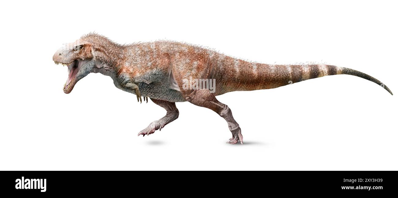 Gorgosaurus (Gorgosaurus libratus), illustration. This carnivorous ...