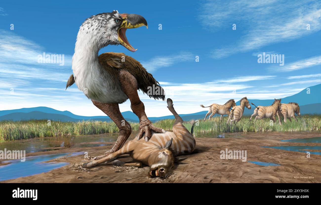 Terror bird (Titanis walleri) with prey, illustration. This extinct ...