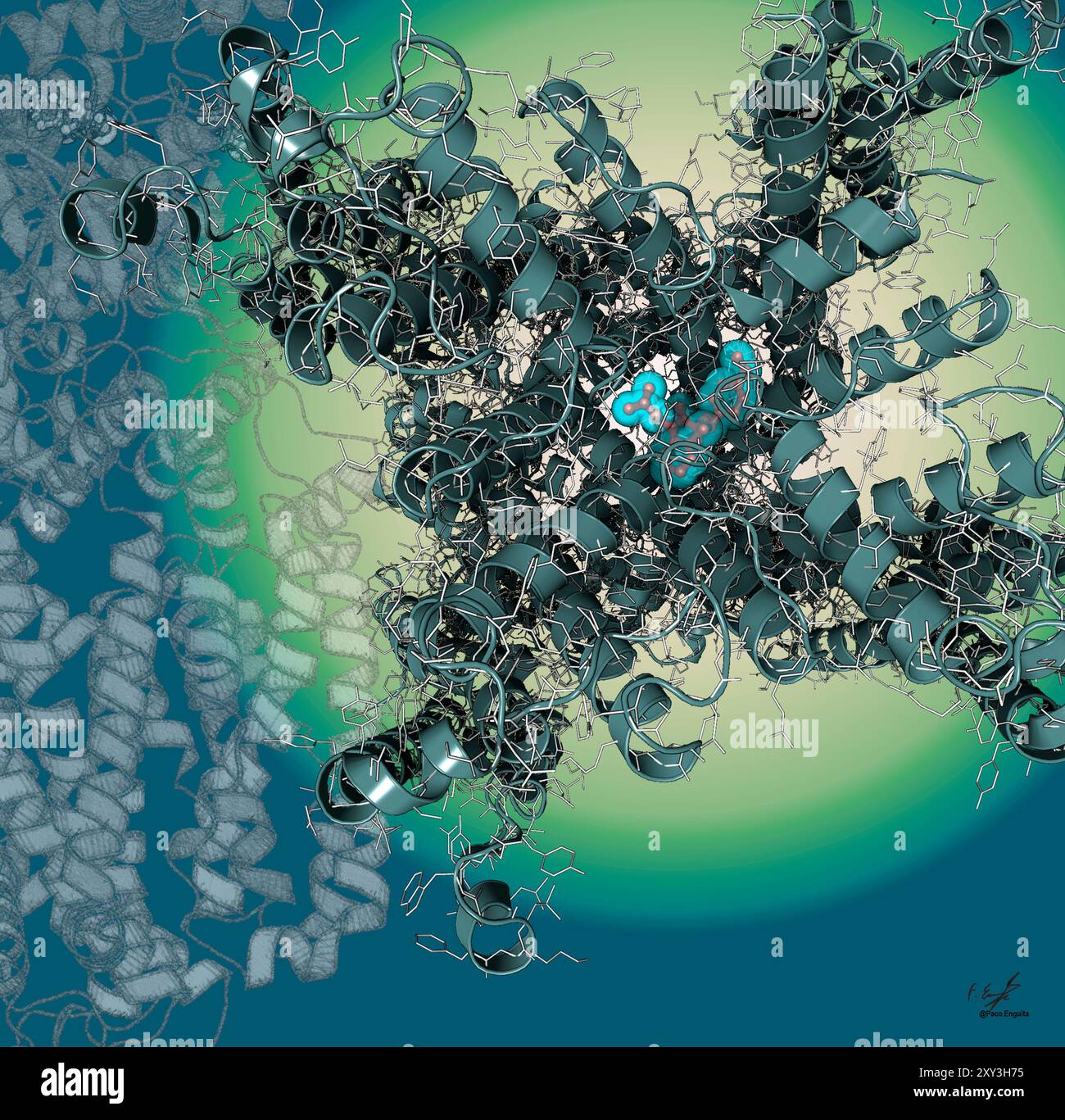Illustration of a protein (CNGA1/B1) formed of three cyclic nucleotide ...